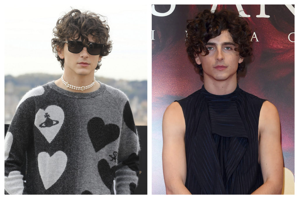 Timothée Chalamet at the BONES AND ALL Milan Photo Call and Premiere ...