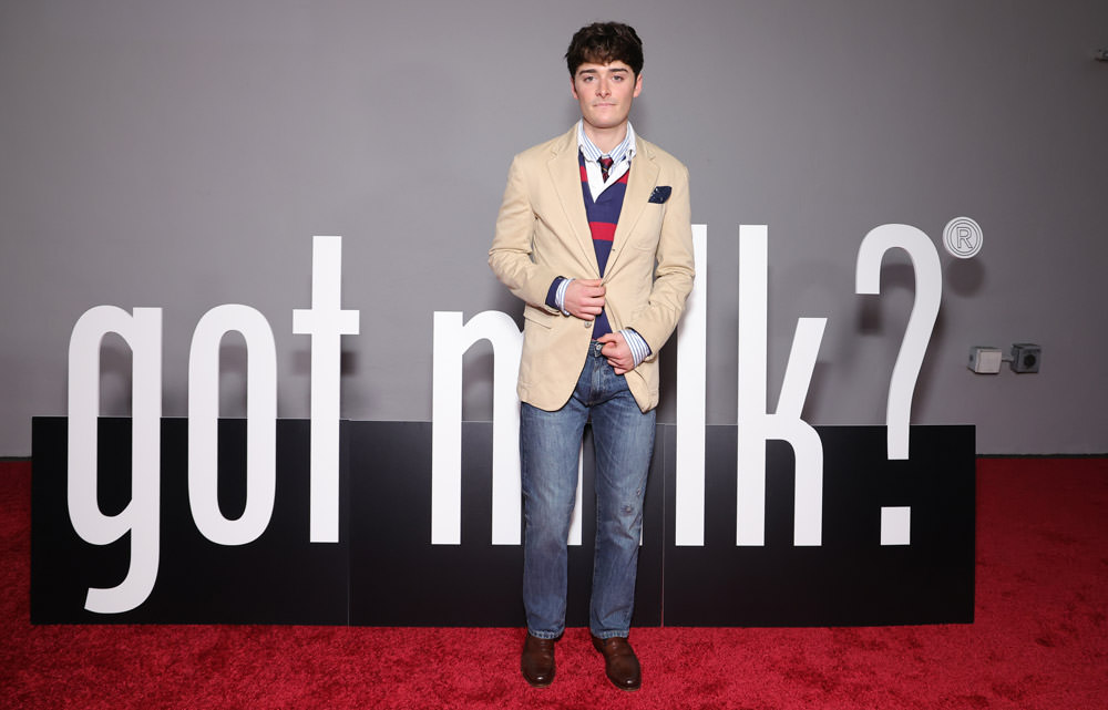 STRANGER THINGS Star Noah Schnapp at the Got Milk?'s 30th Anniversary ...