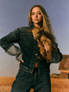 THE TESTAMENT OF ANN LEE Star Amanda Seyfried Covers British GQ’s ...